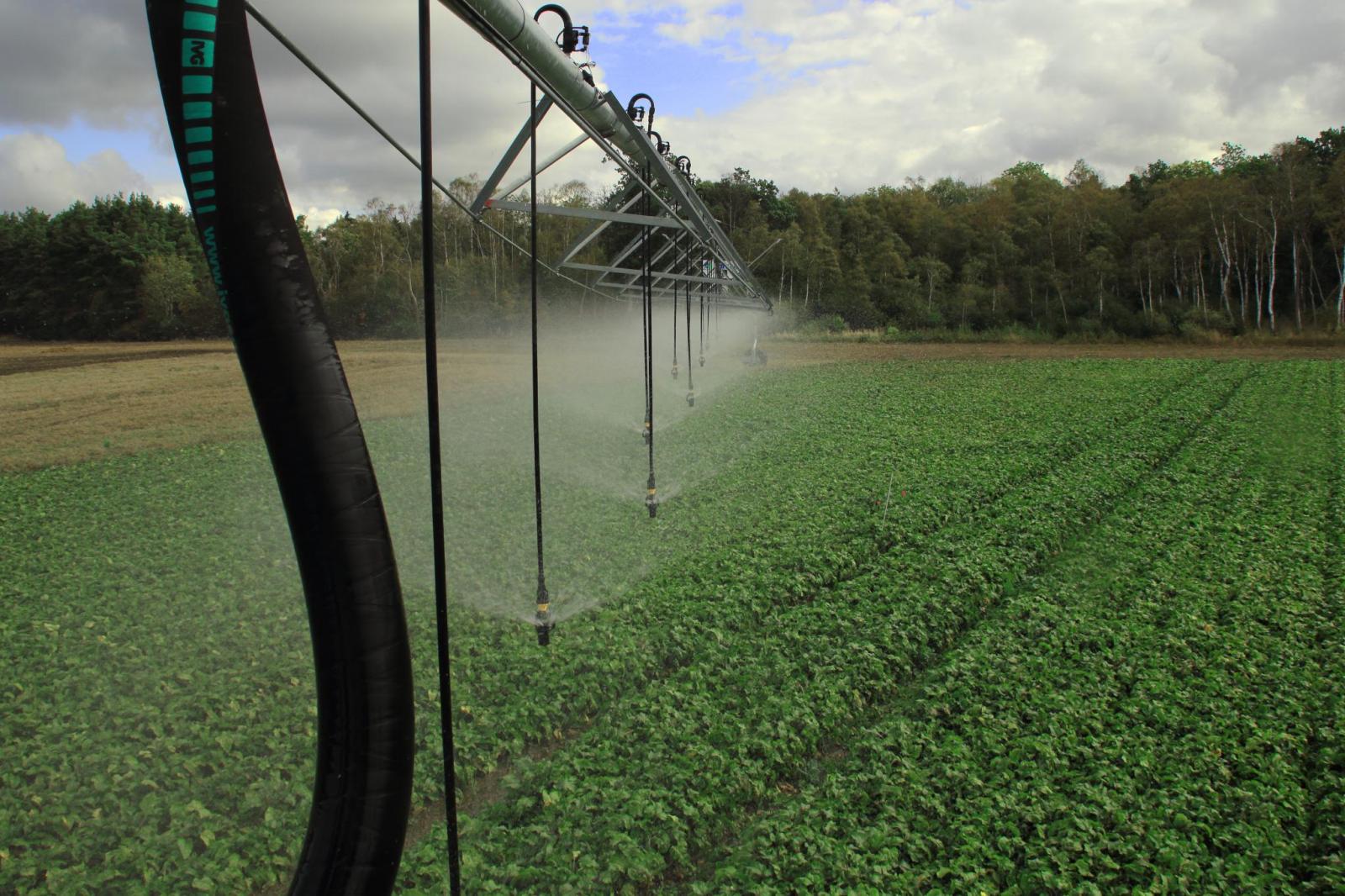 VRI - Variable Rate Irrigation - Röhren- und Pumpenwerk BAUER