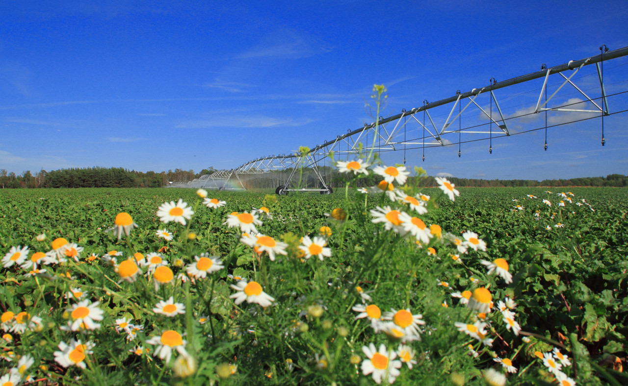 VRI - Variable Rate Irrigation - Röhren- und Pumpenwerk BAUER