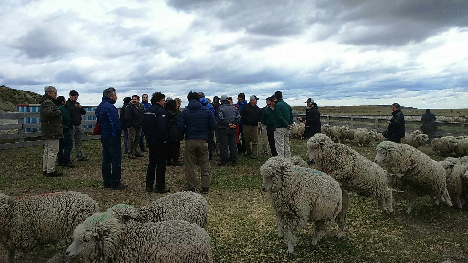 Pivot Centerstar in Feuerland, Chile - Röhren- und Pumpenwerk BAUER