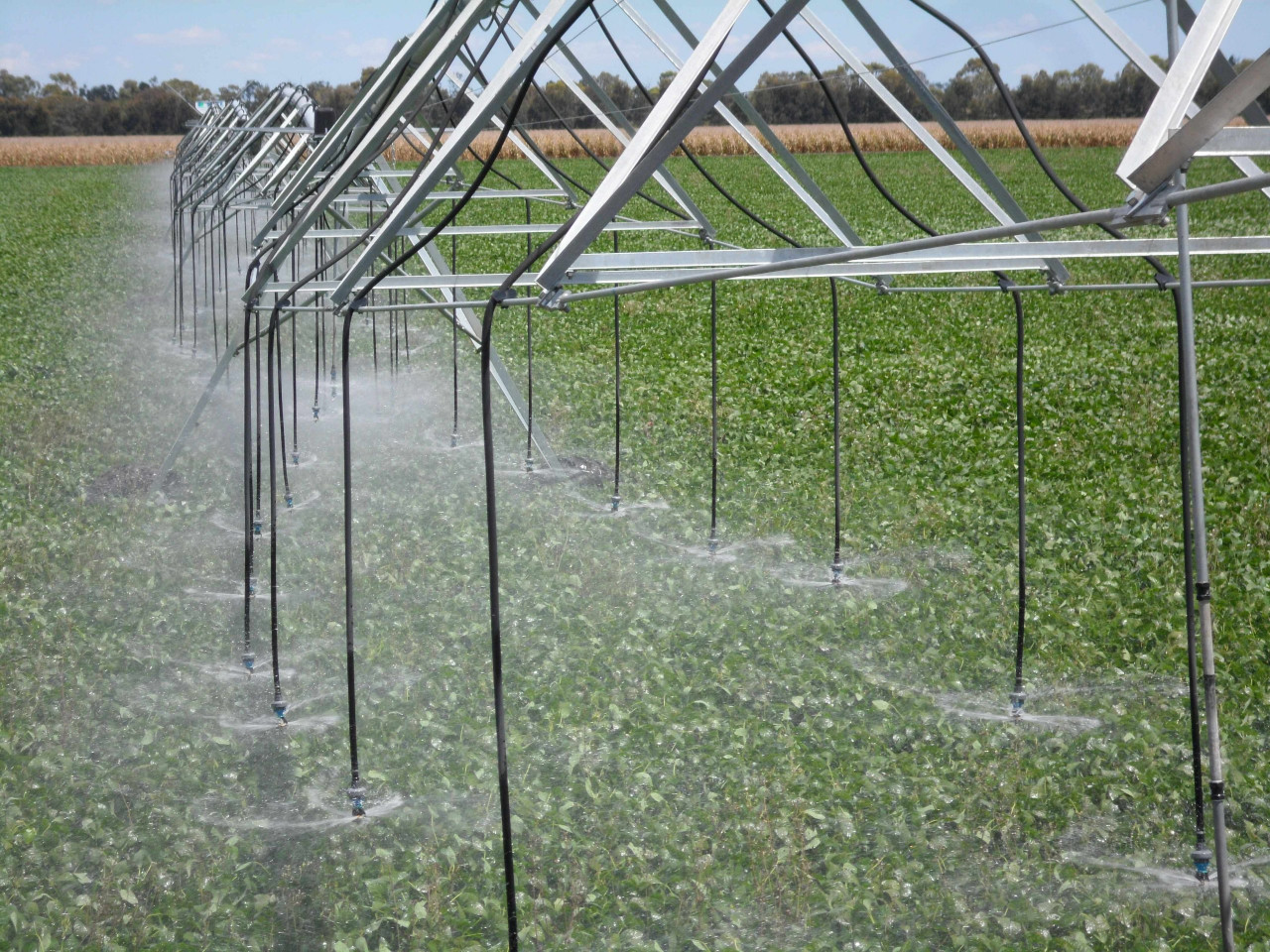 Irrigation - Röhren- und Pumpenwerk BAUER