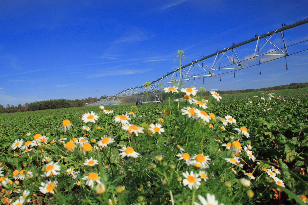Bauer Pivot mit VRI in Schweden - Röhren- und Pumpenwerk BAUER